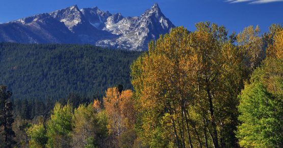 Local Area Guide | SweetSageMT