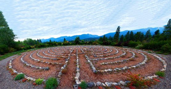 Victor, MT| SweetSageMT